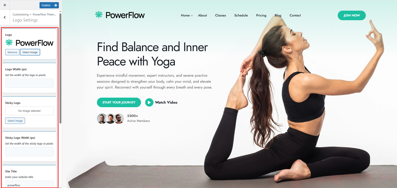 Logo Settings – WordPress Themes & Plugin